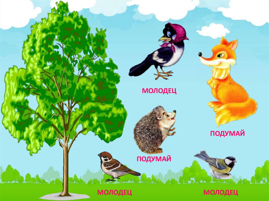 Найди птиц. Дидактическая игра - презентация онлайн