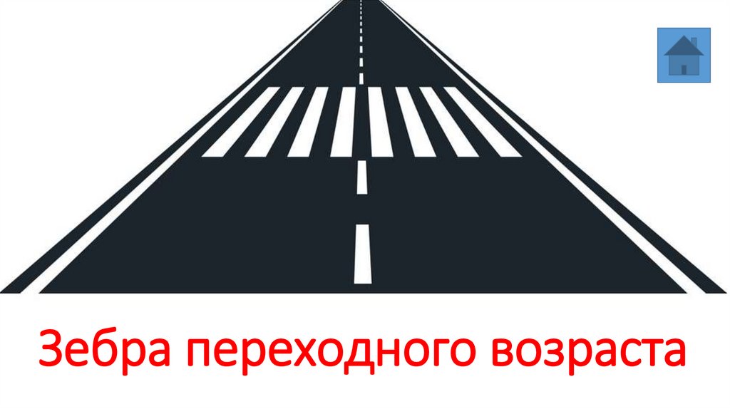 Зебра переходного возраста - презентация онлайн