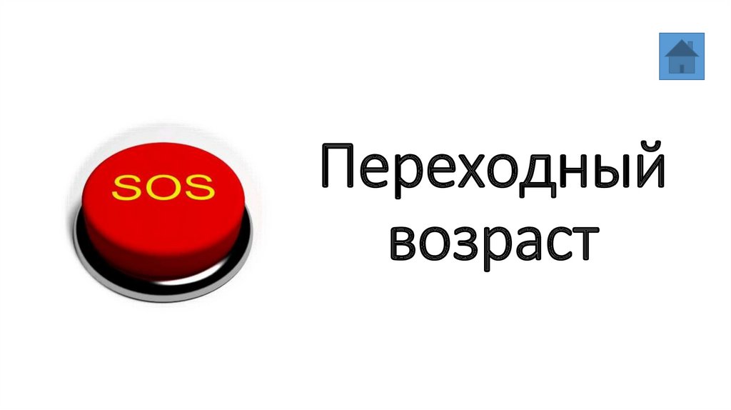 Зебра переходного возраста - презентация онлайн