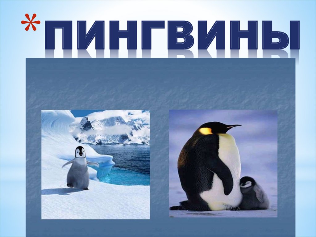 Пингвины - презентация онлайн