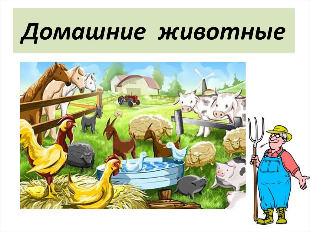 Домашние животные - презентация онлайн