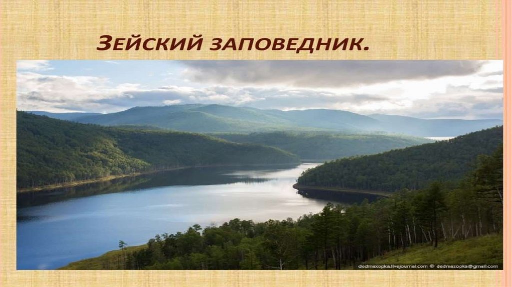 REKA_AMUR_8B - online presentation