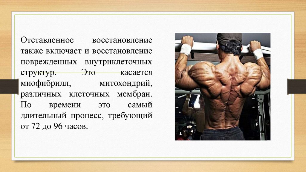 Отставленное восстановление спортсмена. Суперкомпенсация - презентация ...