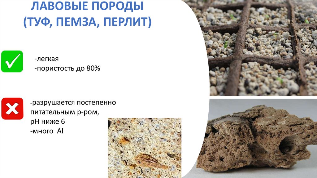 Субстраты для гидропоники - презентация онлайн