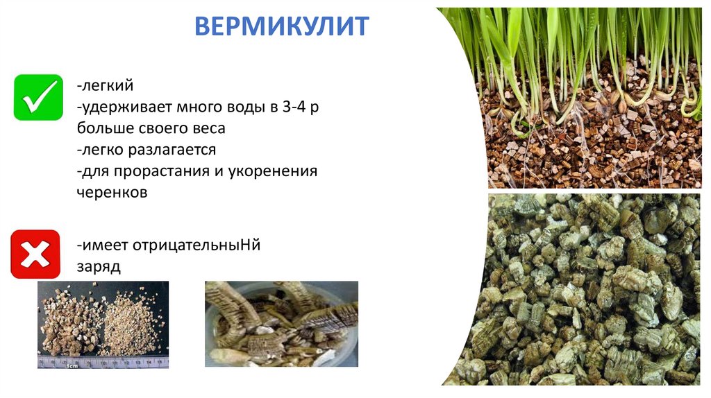Субстраты для гидропоники - презентация онлайн