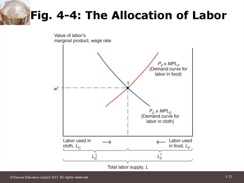 Specific factors model - презентация онлайн