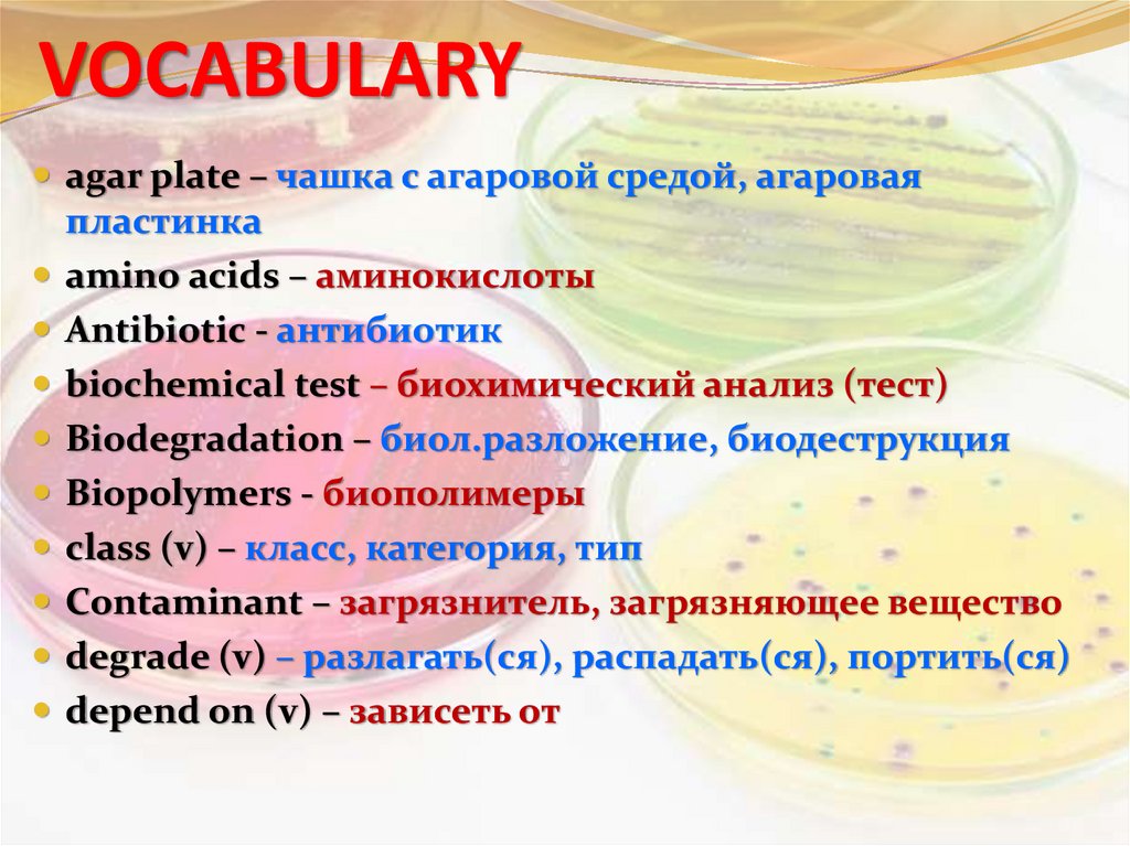 Microbiology. Vocabulary - презентация онлайн