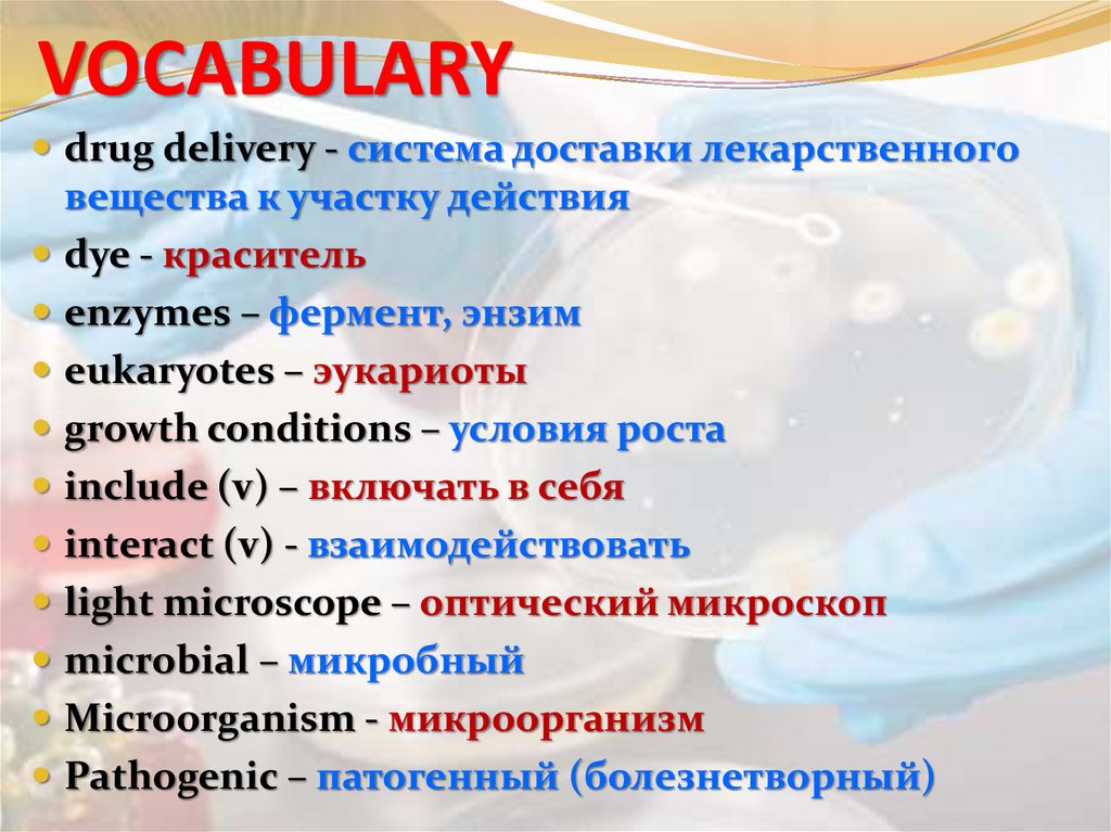 Microbiology. Vocabulary - презентация онлайн
