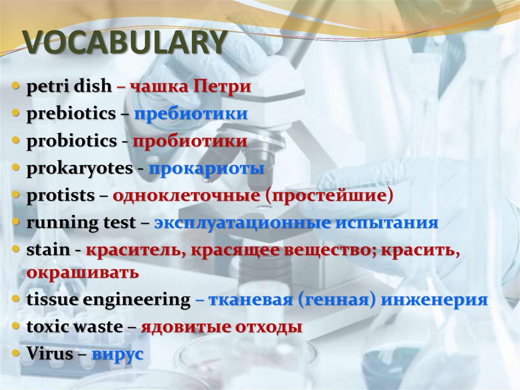 Microbiology. Vocabulary - презентация онлайн