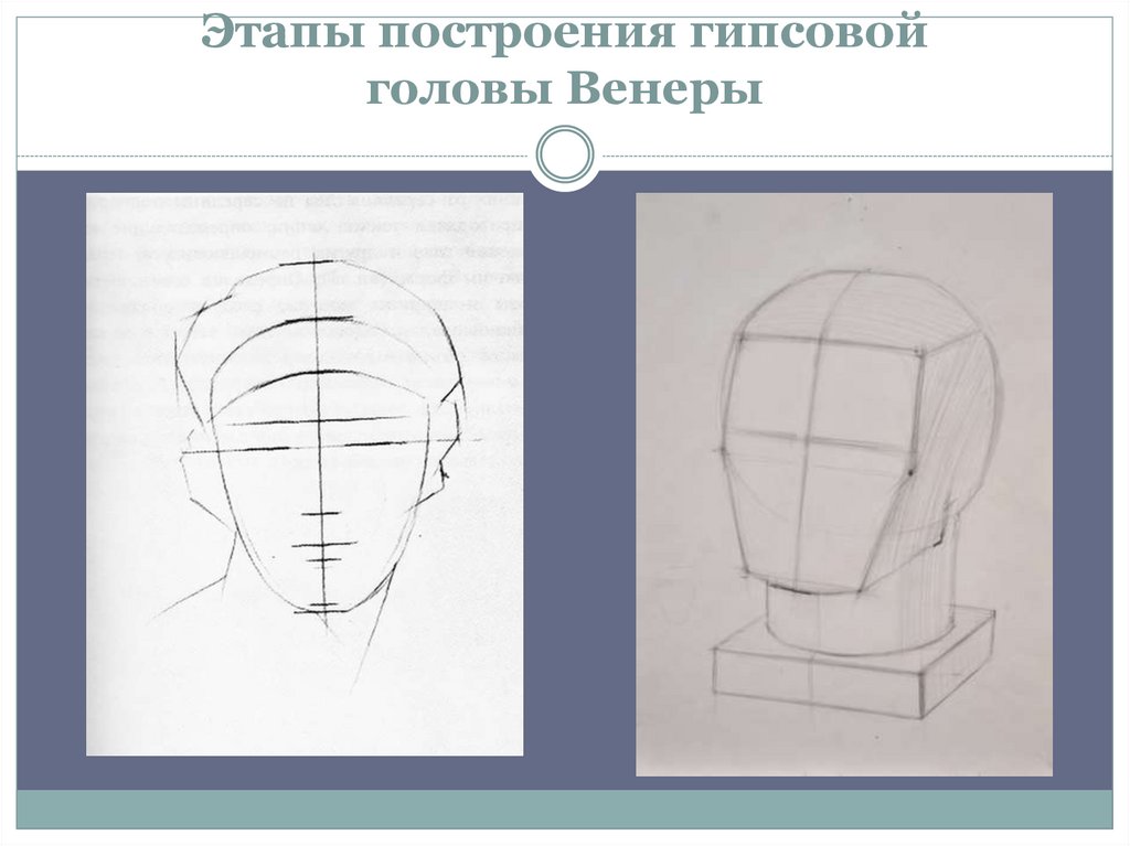 Гипсовая женская голова - презентация онлайн