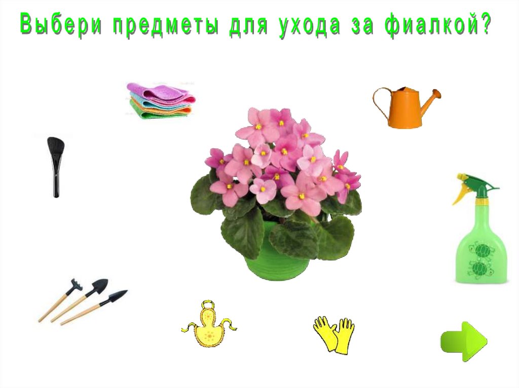 Уход за комнатными растениями - презентация онлайн