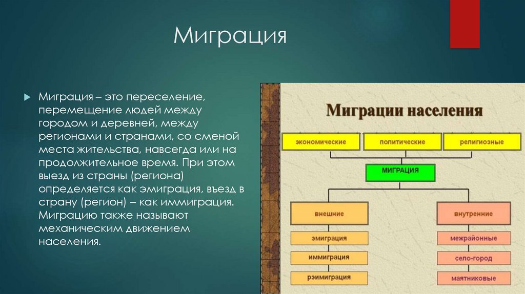 Миграции в современном мире - презентация онлайн