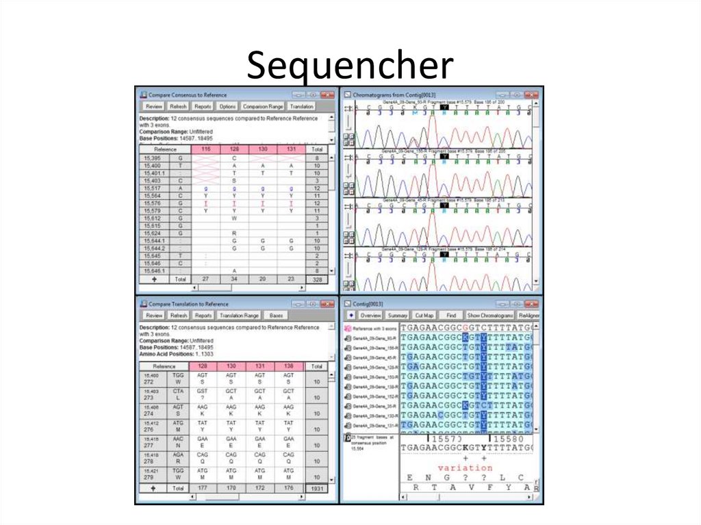 Классические методы секвенирования. Анализ данных, полученных в ходе ...