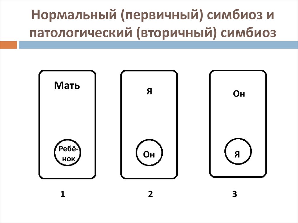 Психологическое рождение человеческого младенца: сепарация-индивидуация ...