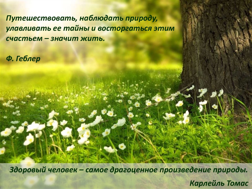 Природа - источник здоровья - презентация онлайн