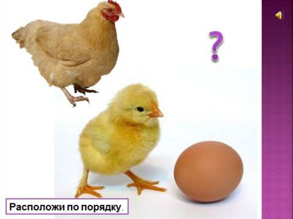 Раньше, позже, сначала, потом - презентация онлайн