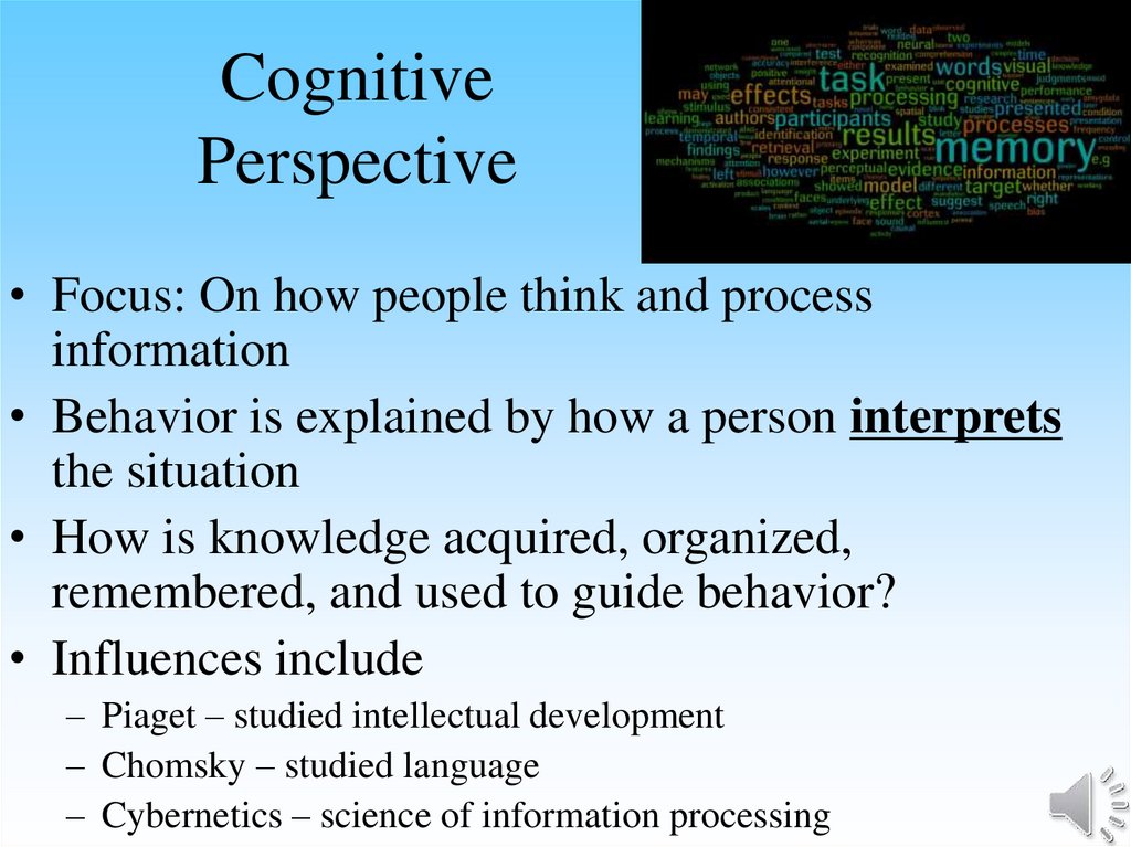 Psychology’s Big Issues & Approaches - online presentation