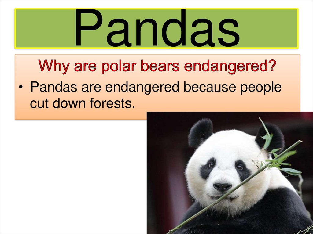 Endangered animals - презентация онлайн