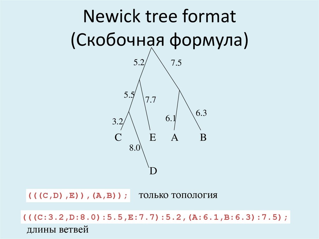 Эволюционные модели и дистанции между последовательностями биополимеров ...
