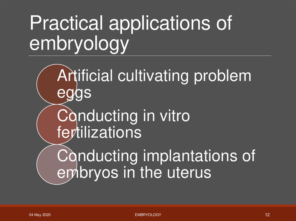 Embryology - презентация онлайн
