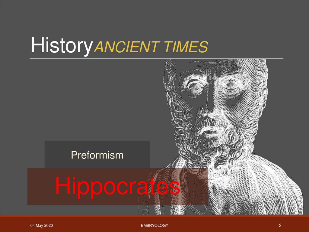 Embryology - презентация онлайн