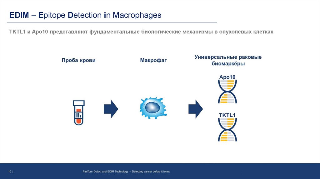 PanTum Detect and EDIM Technology – выявление рака на ранних стадиях ...