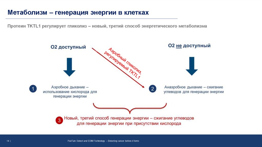 PanTum Detect and EDIM Technology – выявление рака на ранних стадиях ...