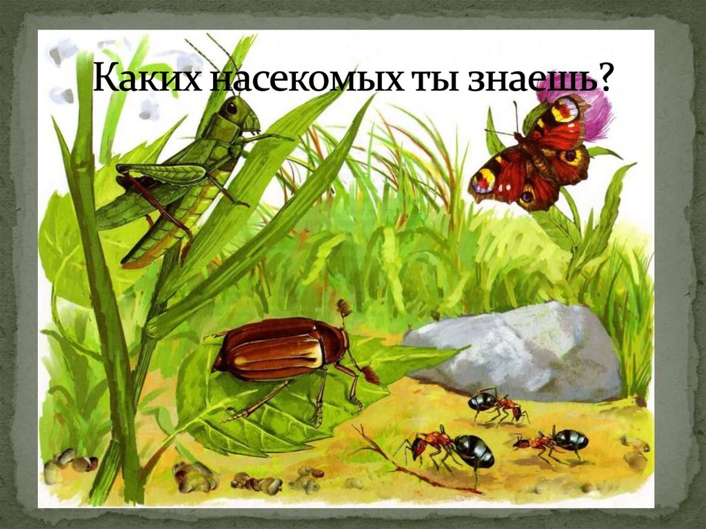 Великан на поляне. Конкурс рисунков - презентация онлайн