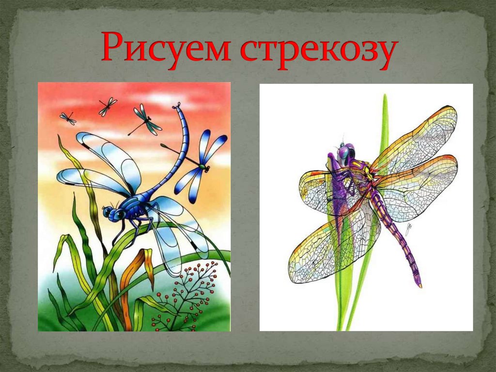 Великан на поляне. Конкурс рисунков - презентация онлайн