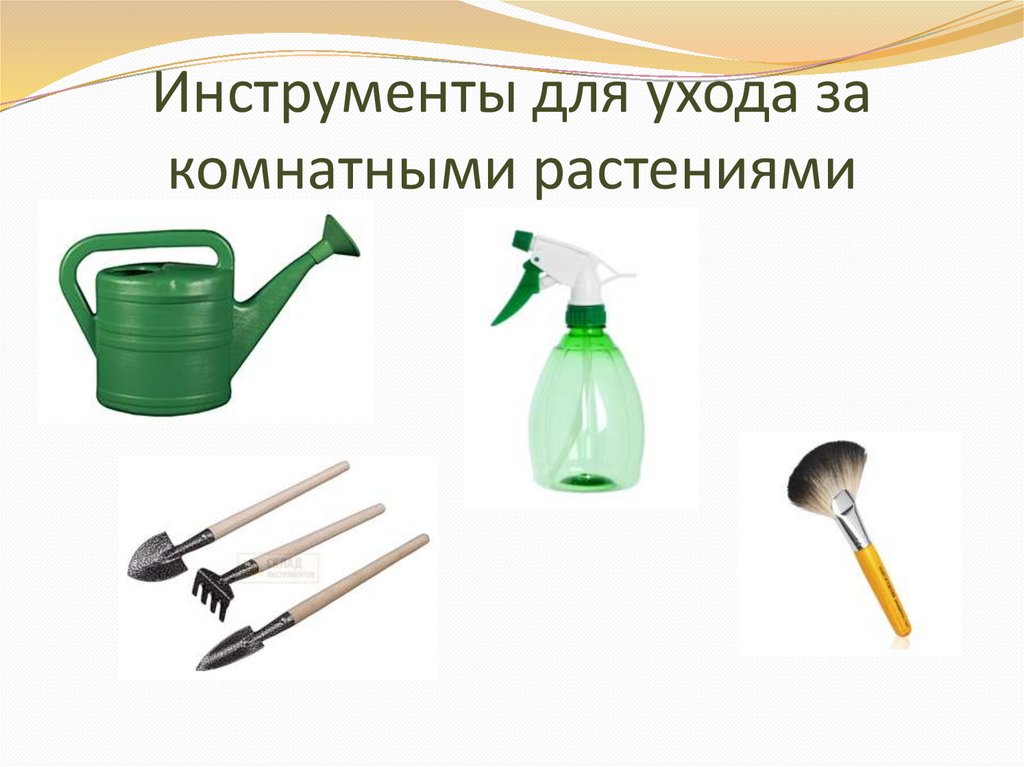 Уход за комнатными растениями - презентация онлайн