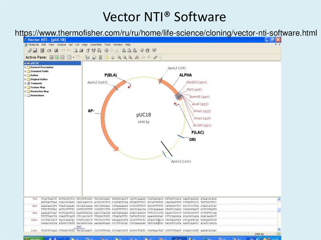 Компьютерные методы анализа нуклеотидных последовательностей ...