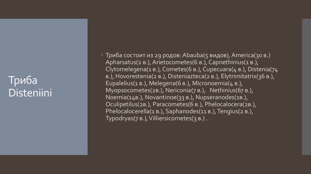 Chrysomeliformia Сем. Disteniidae - презентация онлайн