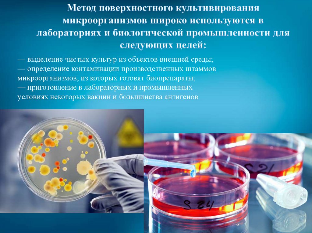 Методы культивирования микроорганизмов. Часть 1 - презентация онлайн