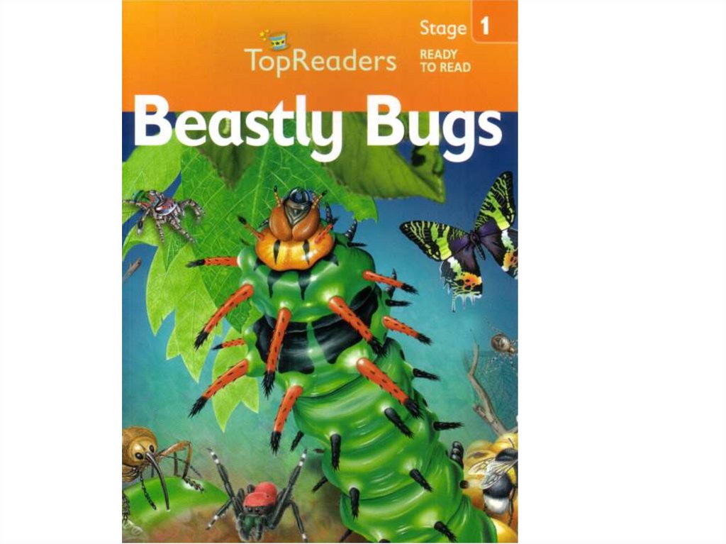 Beastly Bug - online presentation