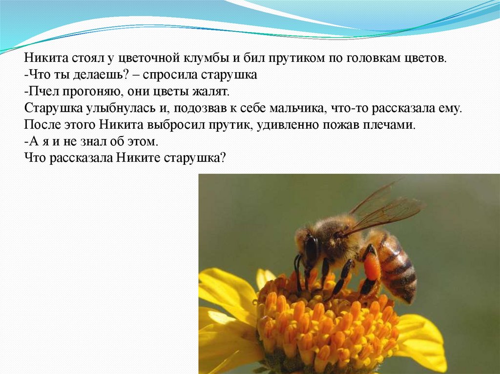 Экологические ситуации для младших школьников - презентация онлайн