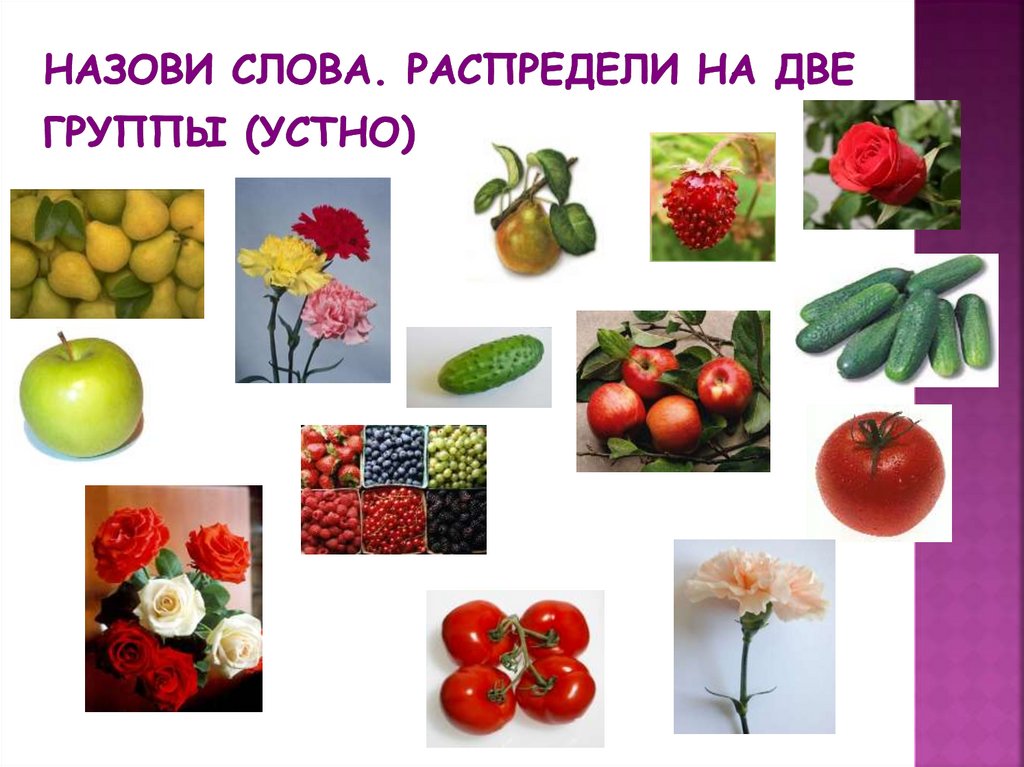 число имен существительных презентация онлайн